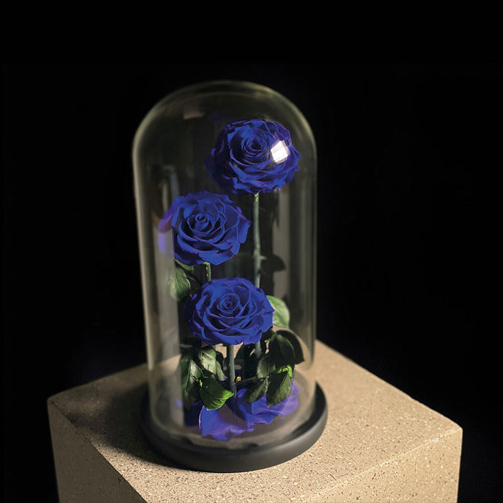 Infinity Roses Bouquets | Infinity Flowers in Dubai, Abu Dhabi, Sharjah ...
